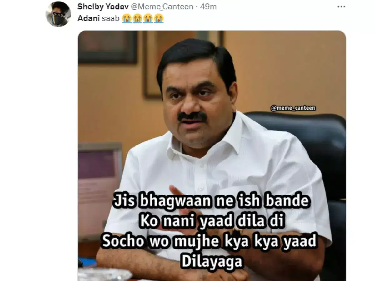 Adani Memes How To Dump A Billionaire Mid Air & Too Much 'stock