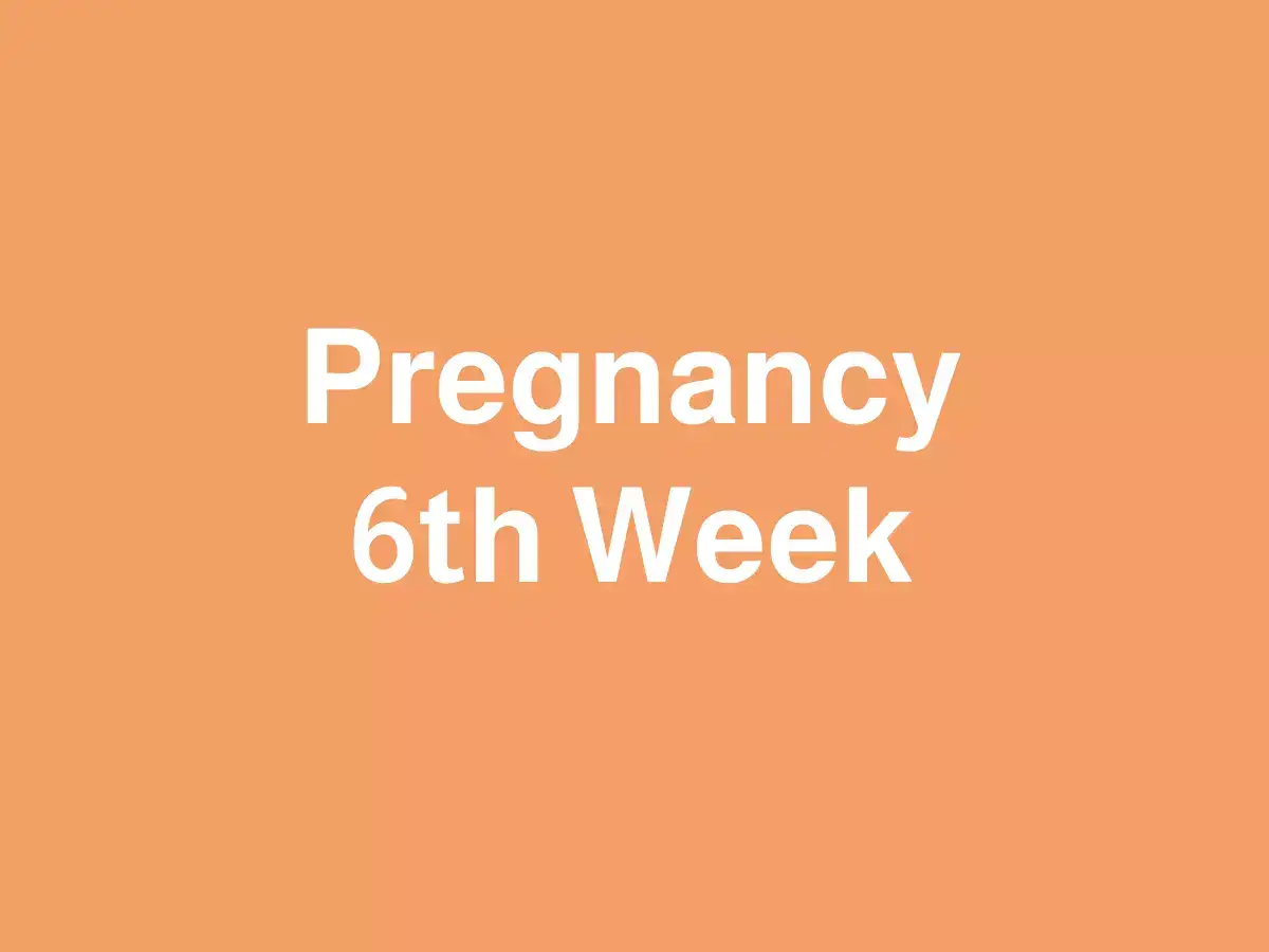 6th Week Pregnancy,6 Weeks Pregnant: കുഞ്ഞിൻ്റെ ഹൃദയമിടിപ്പ് മുത ...