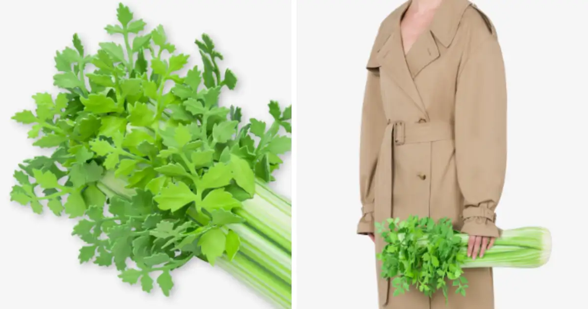 Moschino Giant Celery Bag Worth Lakh,अब मार्केट में आया धनिया वाला ...