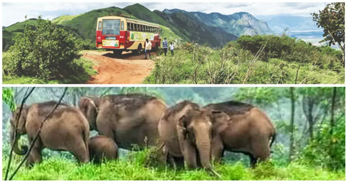 KSRTC Gavi Package,കെഎസ്ആർടിസി ഗവി ട്രിപ്പ്; 36 ദിവസം കൊണ്ട് 100 സ ...