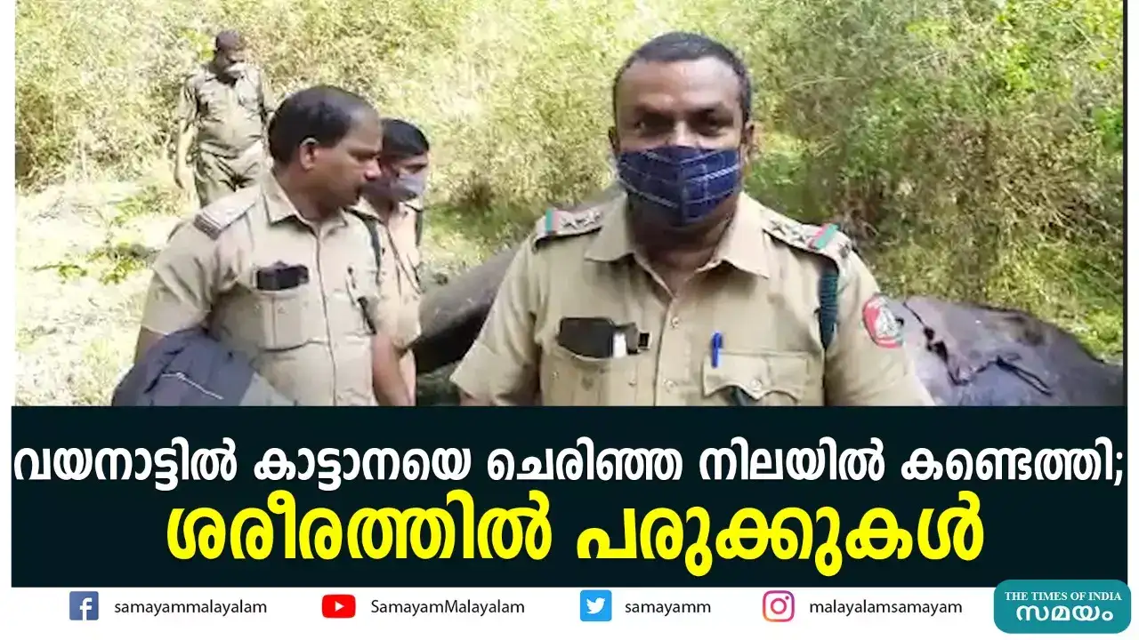 Wayanad Elephant Death,വയനാട്ടില്‍ കാട്ടാനയെ ചെരിഞ്ഞ നിലയില്‍ കണ്ടെത്തി ...