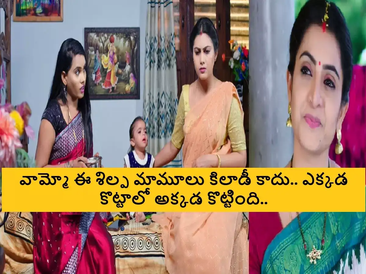 Vadinamma Serial,‘వదినమ్మ’ సెప్టెంబర్ 3 ఎపిసోడ్: సిరి మనసులో విష బీజం ...