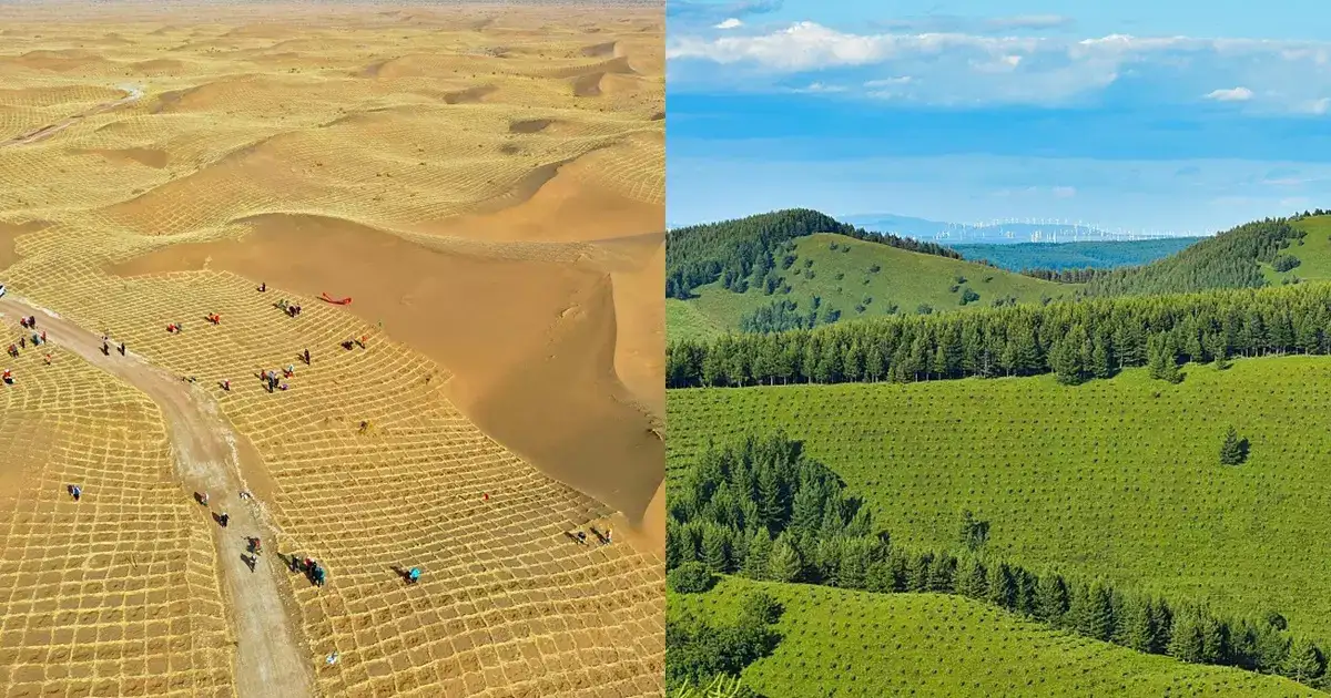 Desertification in China: भारत का पानी रोककर रेगिस्तान को हरा-भरा बना ...