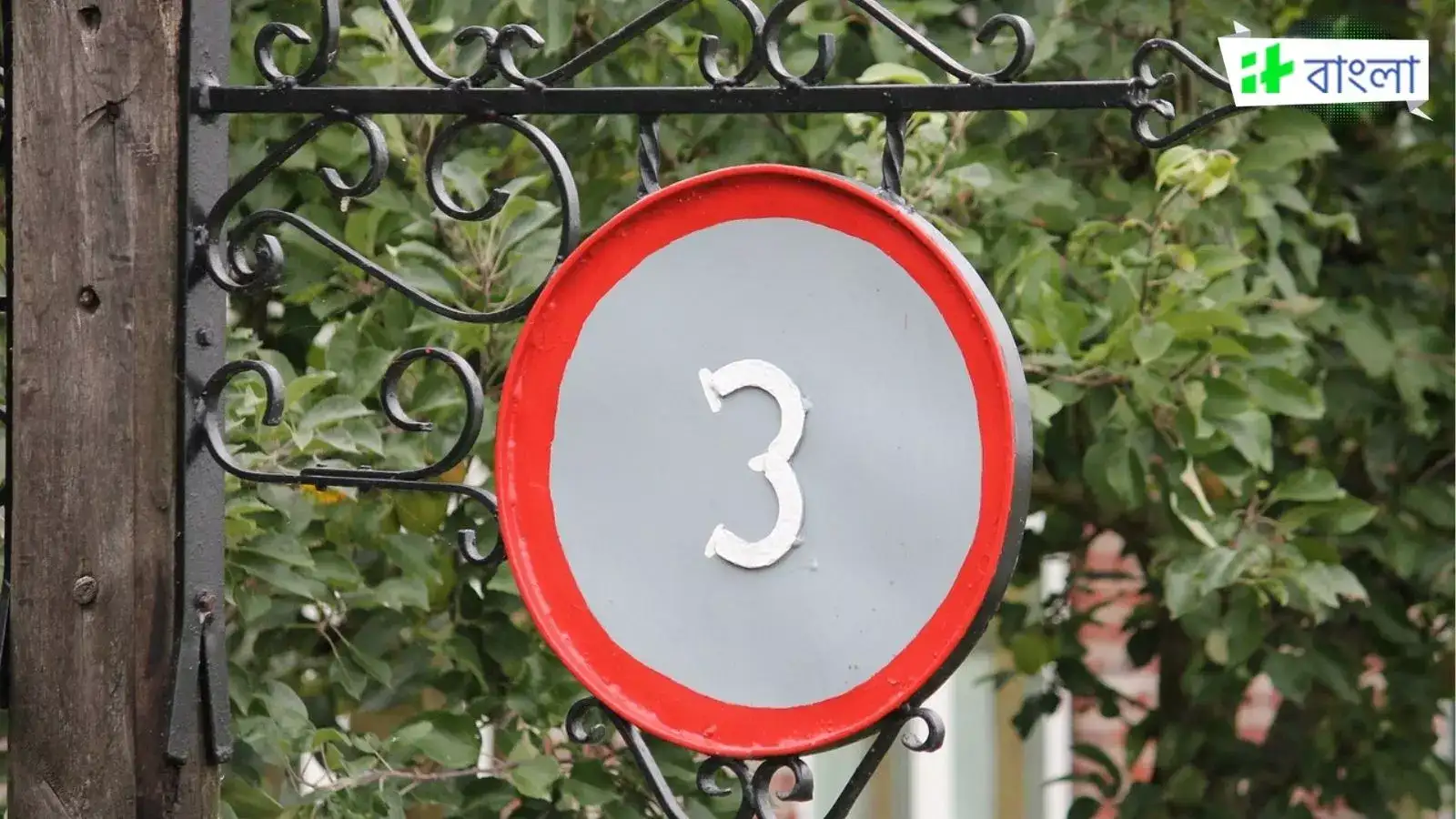 Mulank 3 Numerology Predictions 2025: নতুন বছরে ৩ মূলাঙ্কের জাতকদের ...