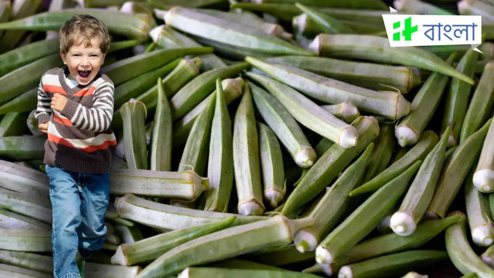Okra For Kids,সন্তানকে ছোট থেকে খেতে শেখান এই সবজি, তাহলেই তার থেকে ...