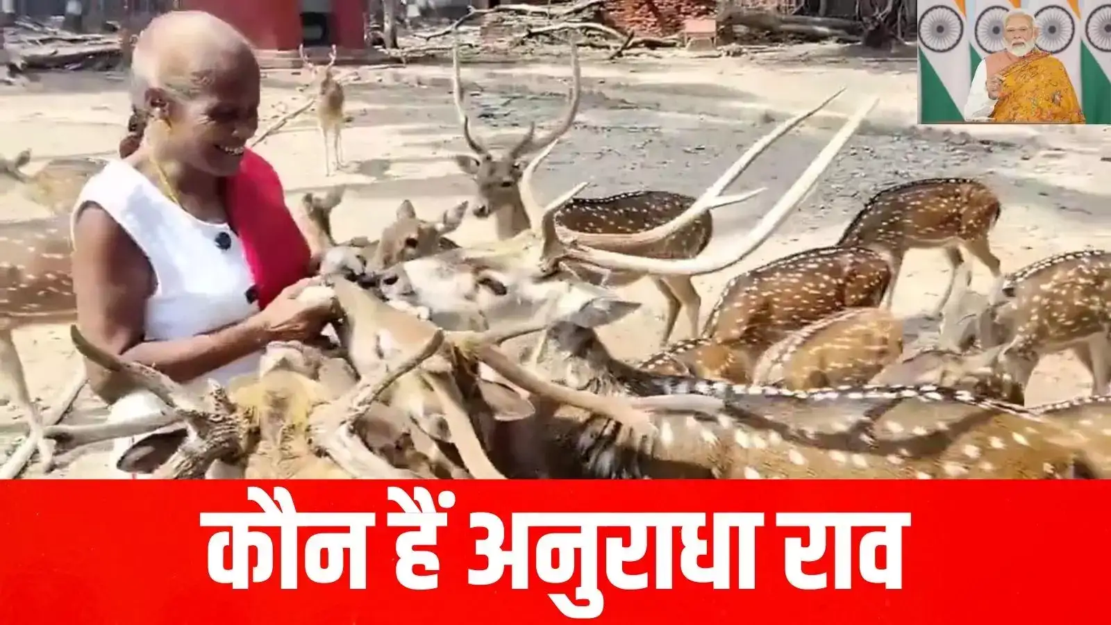 Deer Woman Anuradha Rao,कौन हैं 'Deer Woman' अनुराधा राव, जिनका पीएम ...