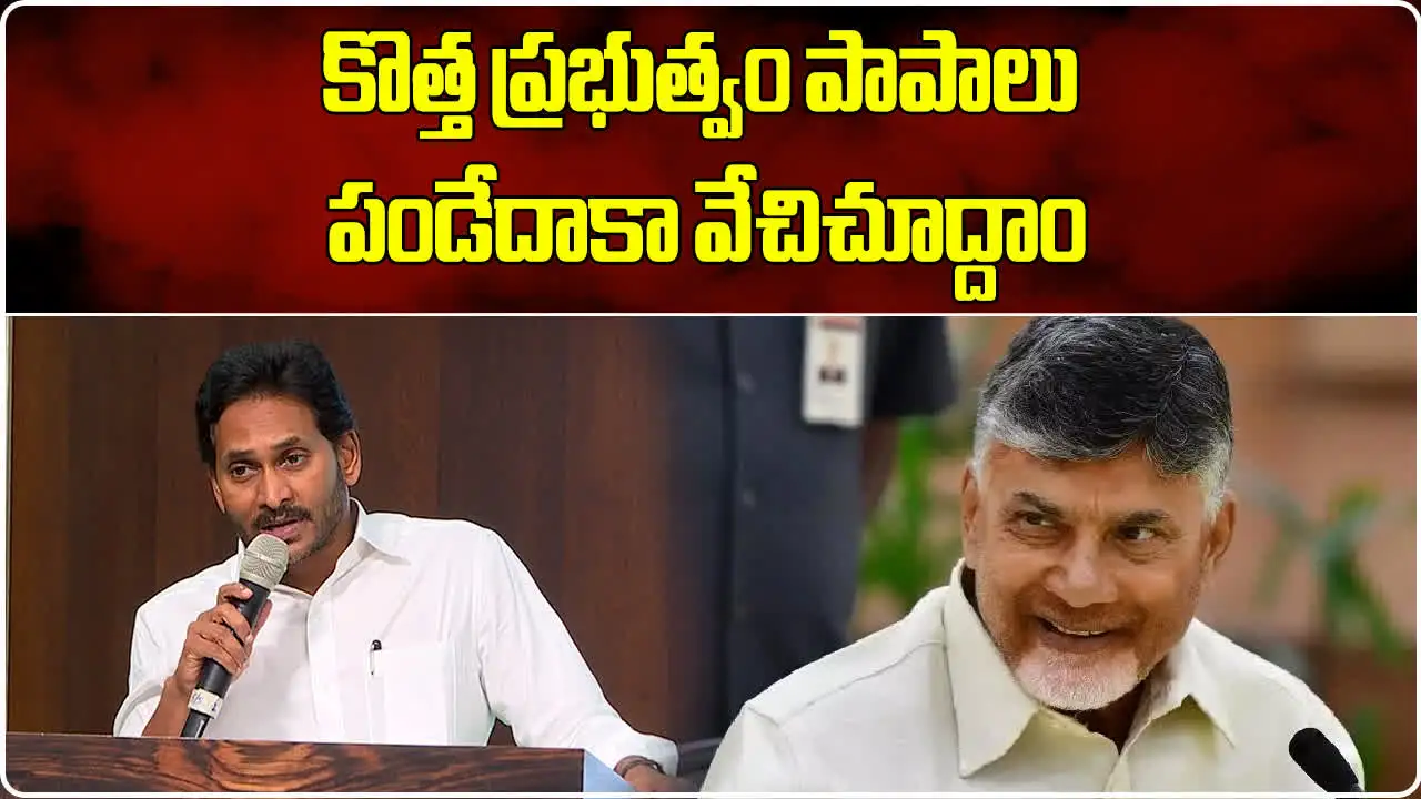 YS Jagan Mohan Reddy Meets YSRCP MLAs in Tadepalli - చంద్రబాబు పాపాలు పండుతాయి.. ప్రతిపక్ష హోదా ...