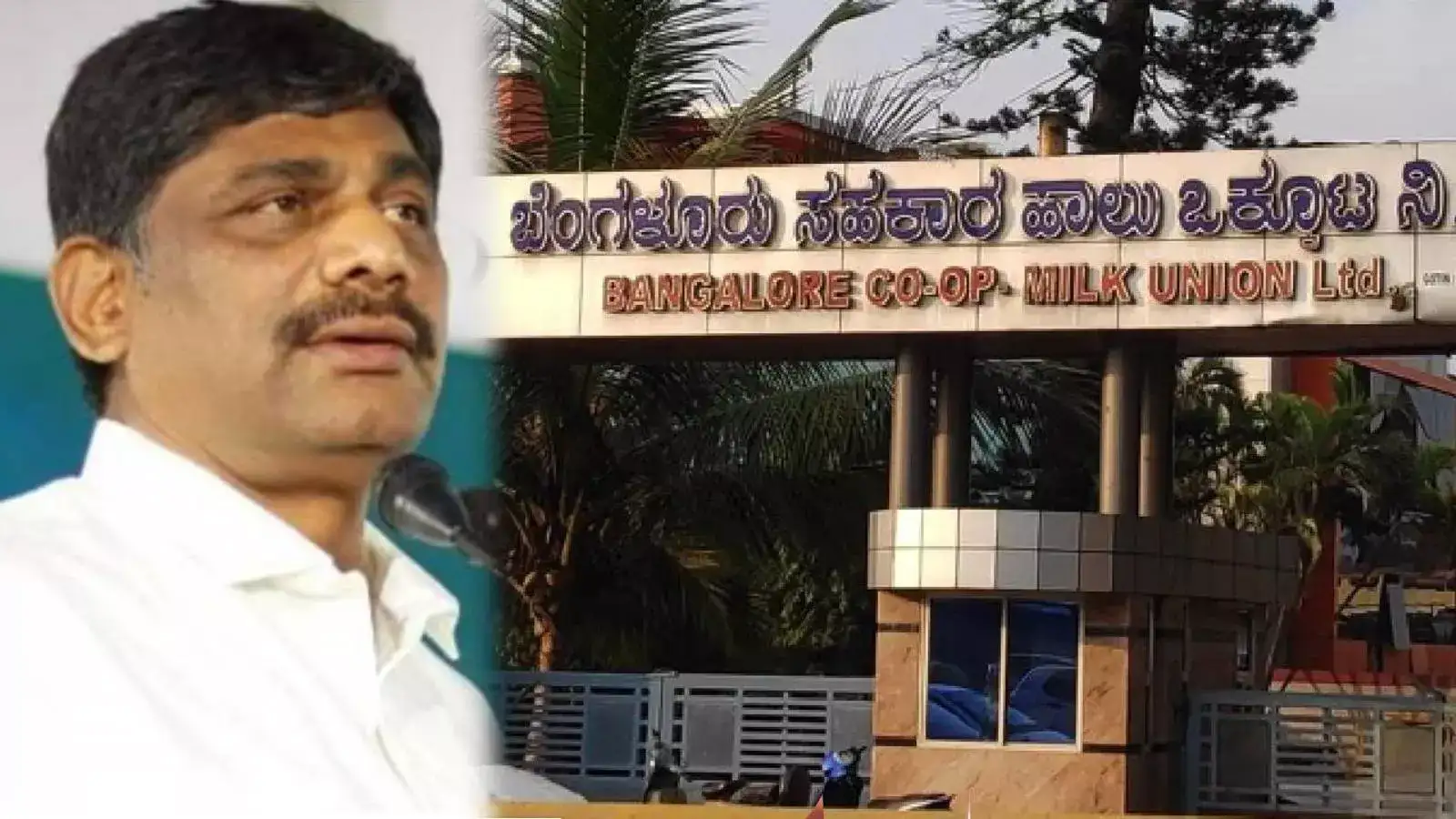 ಬಮೂಲ್‌ ಚುನಾವಣೆಗೆ ಮುಹೂರ್ತ,'ಬಮೂಲ್‌' ಚುನಾವಣೆಗೆ ಮುಹೂರ್ತ ಫಿಕ್ಸ್‌; ಕೆಎಂಎಫ್ ...