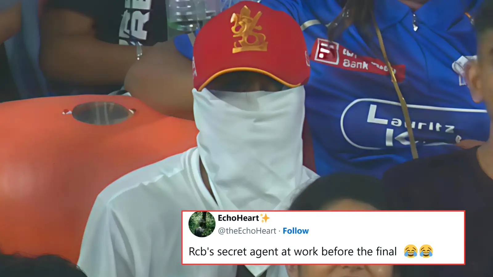 IPL 2025 Final Memes,IPL फाइनल से पहले वायरल हो गया 'RCB का एजेंट,' लोग ...