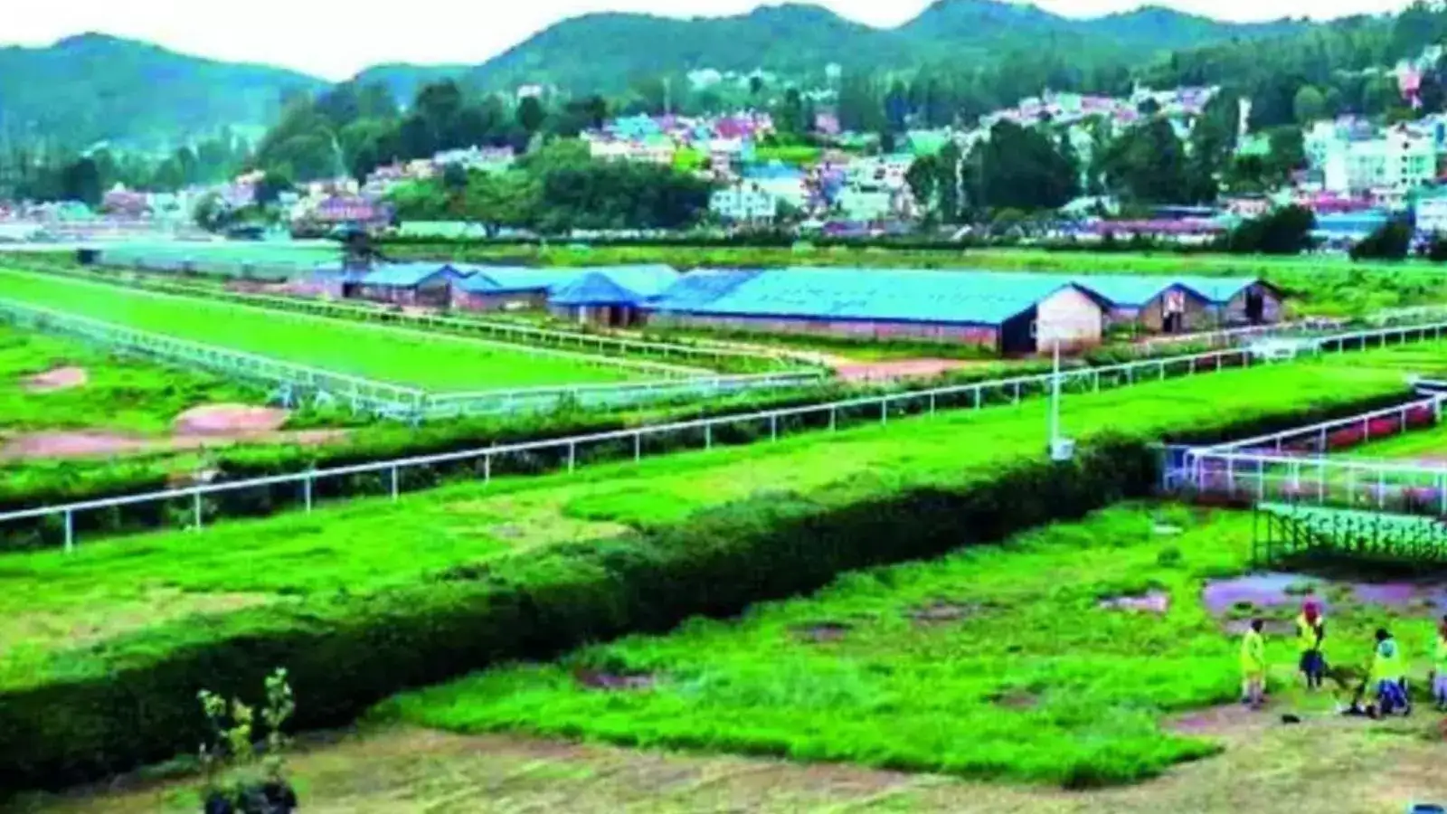 GCC Guindy MRC Ponds: கிண்டி ரேஸ் கோர்ஸ்: இன்னும் ஒரே வாரம் தான்... 10 ...