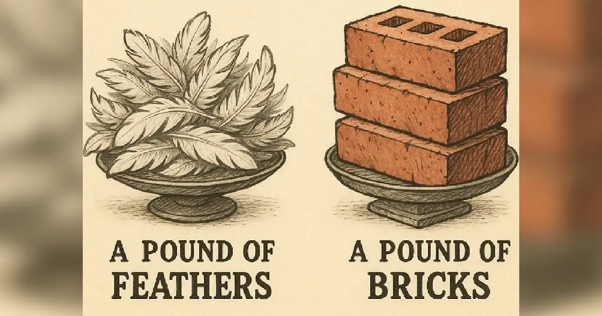 Optical Illusion Puzzle 1 Pound of Feathers or Bricks Which One Weighs ...