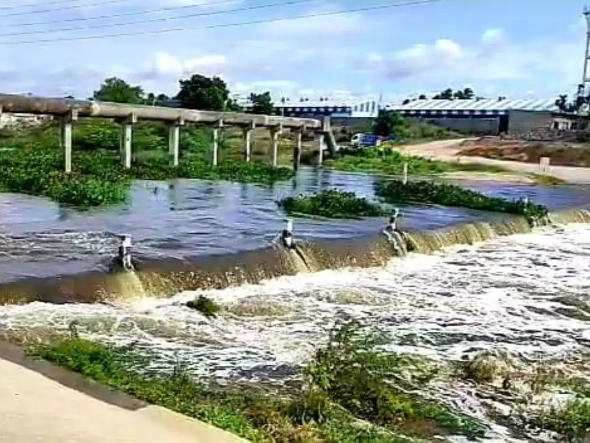 Tirupur Noyyal River,Noyyal River: திருப்பூர் நொய்யல் ஆற்றில் ...