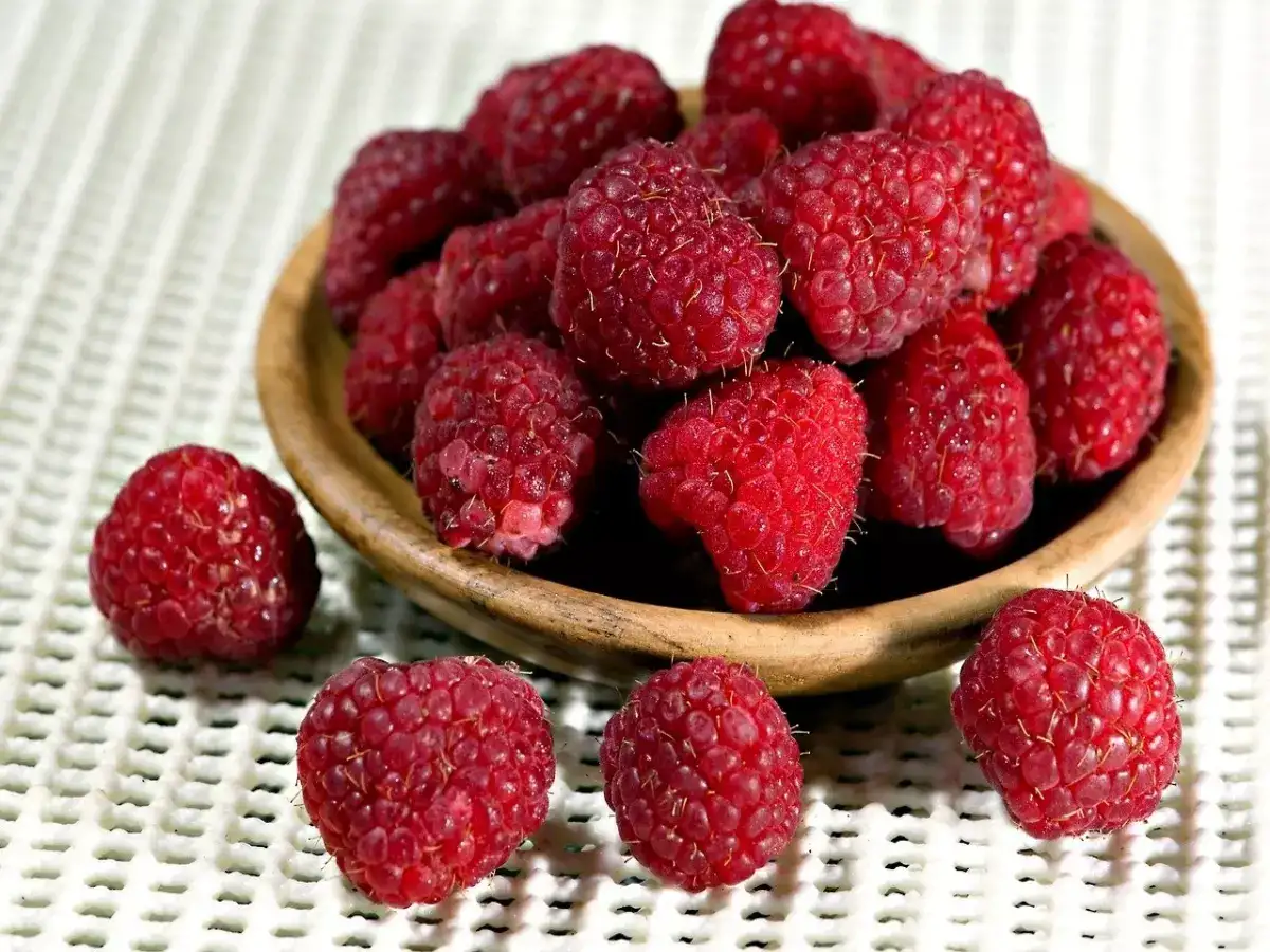 Raspberries health benefits: ఈ బెర్రీస్‌ తింటే‌ బ్రెయిన్‌ షార్ప్ ...
