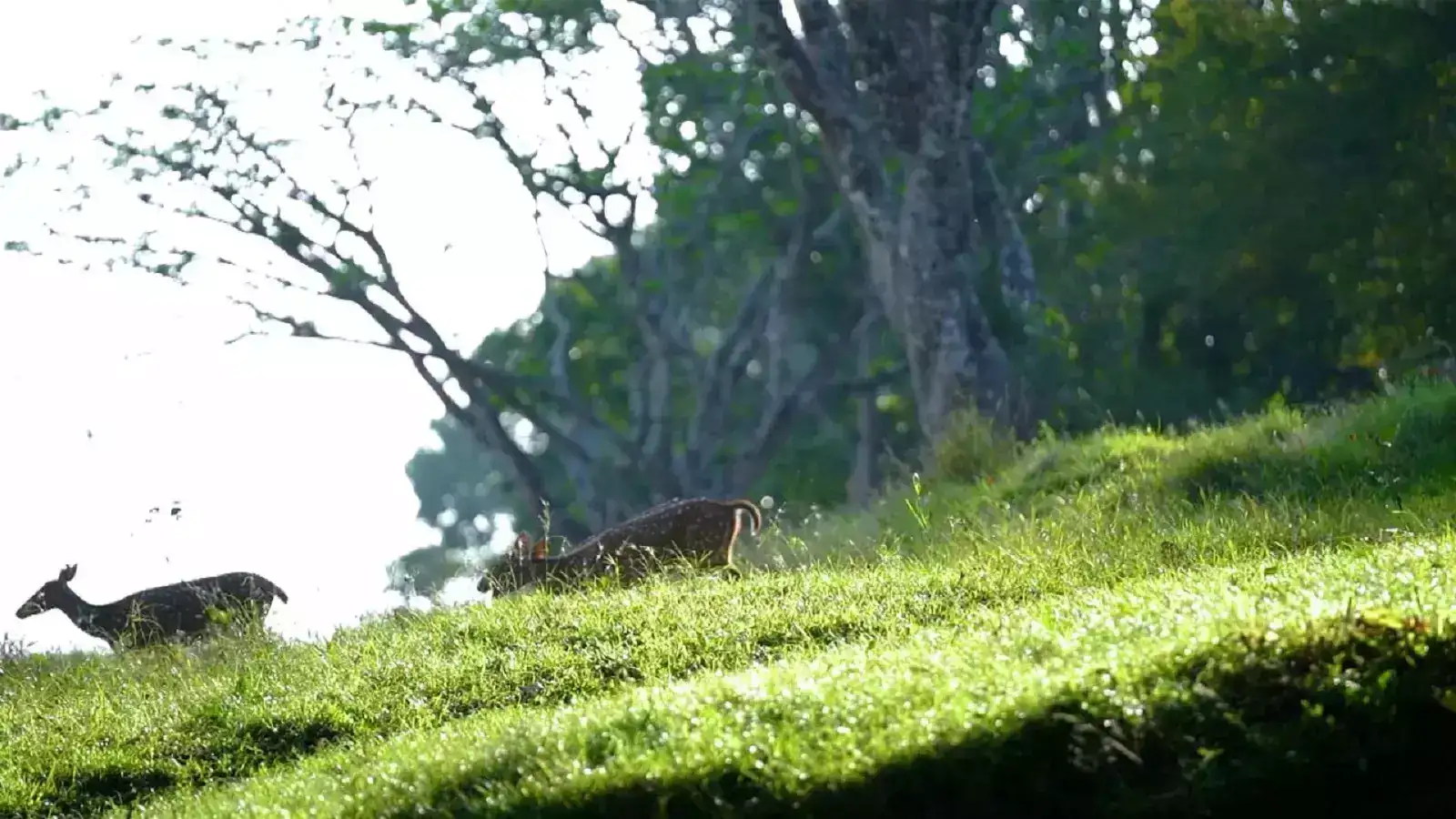 Coimbatore reserve forest tourist spots development projects : கோவை ...