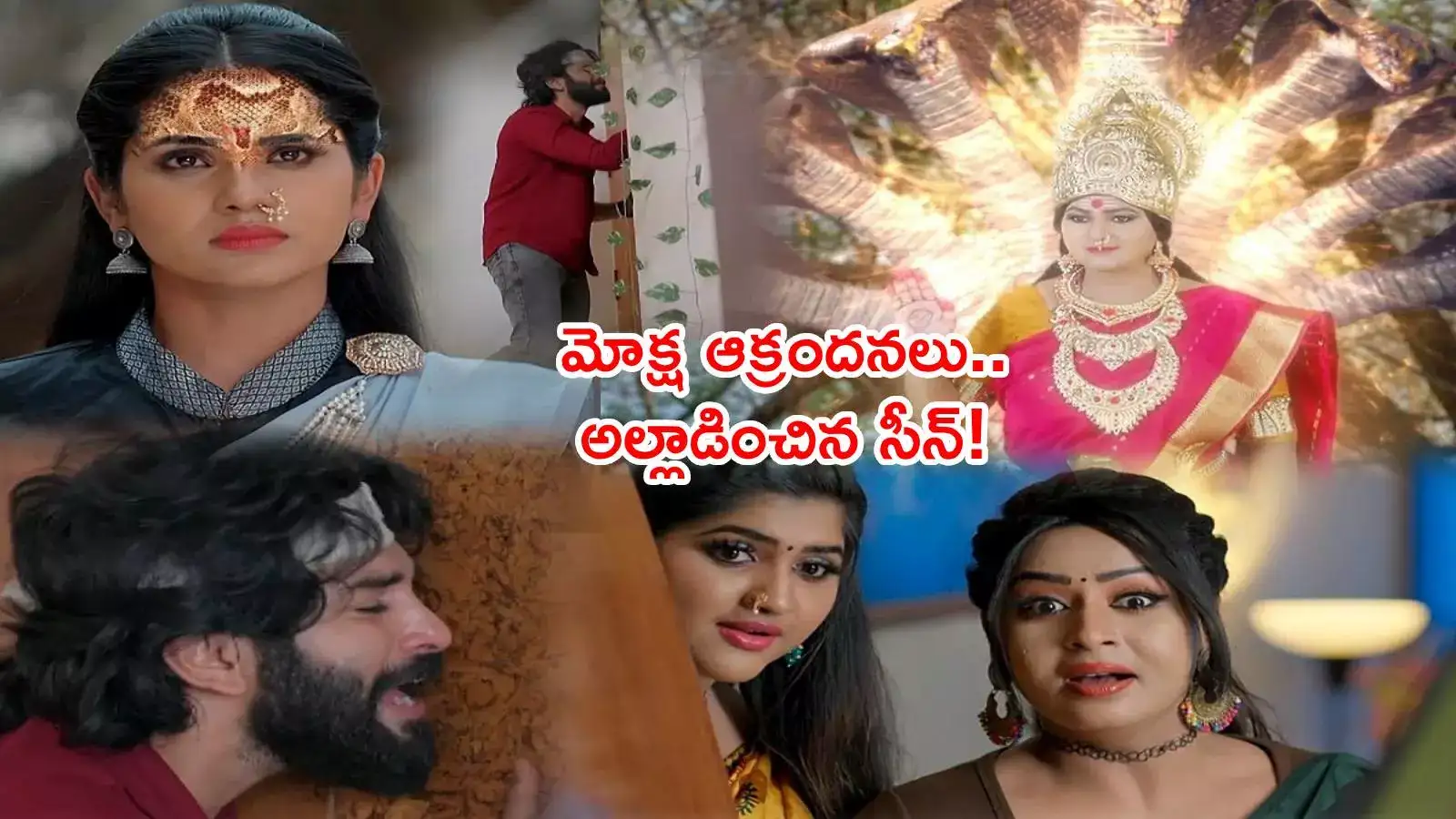 Naga Panchami Serial,Naga Panchami Today: గదిలో బందీ అయిన మోక్ష!! చిత్ర ...