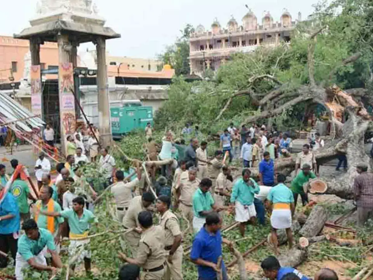 Tirupati,அட கடவுளே... திருப்பதியில் பயங்கரம்... பக்தருக்கு நேர்ந்த ...