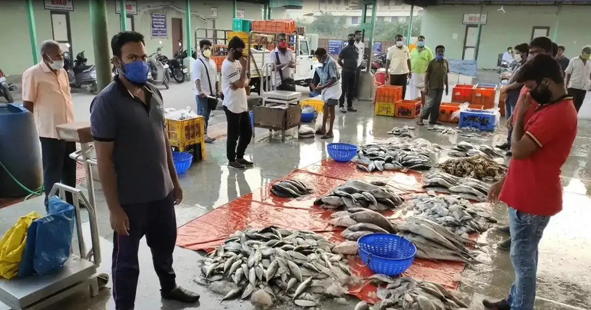 Coimbatore Ukkadam Fish Market,கோவை உக்கடம் மீன் மார்க்கெட்டில் ...
