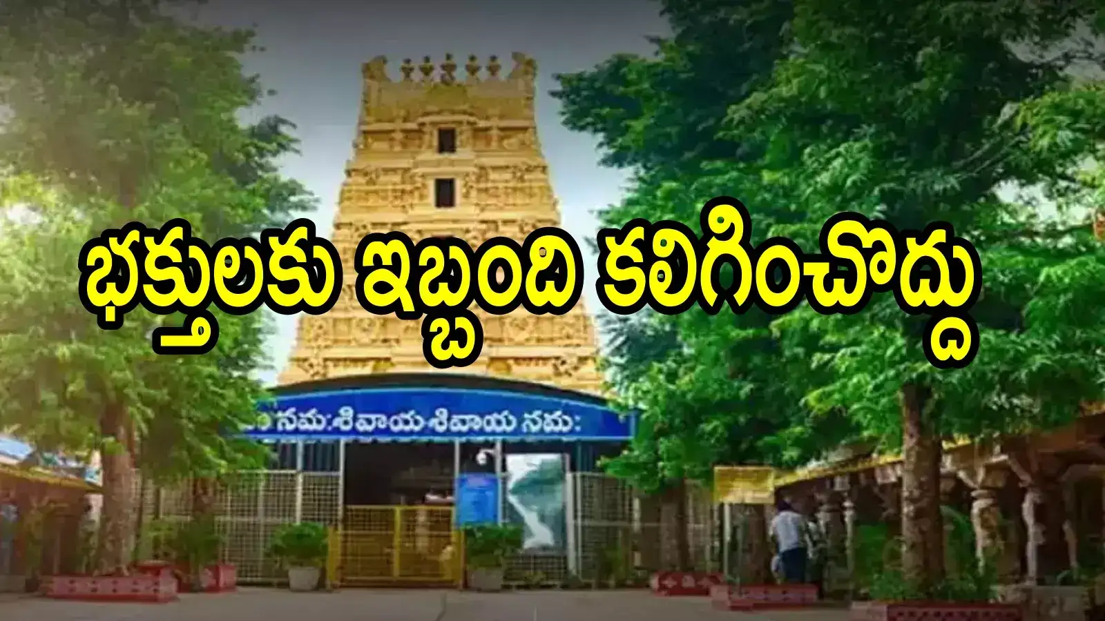 Srisailam Devotees Forest Route Chandrababu,శ్రీశైలం నడిచి వెళ్లే ...