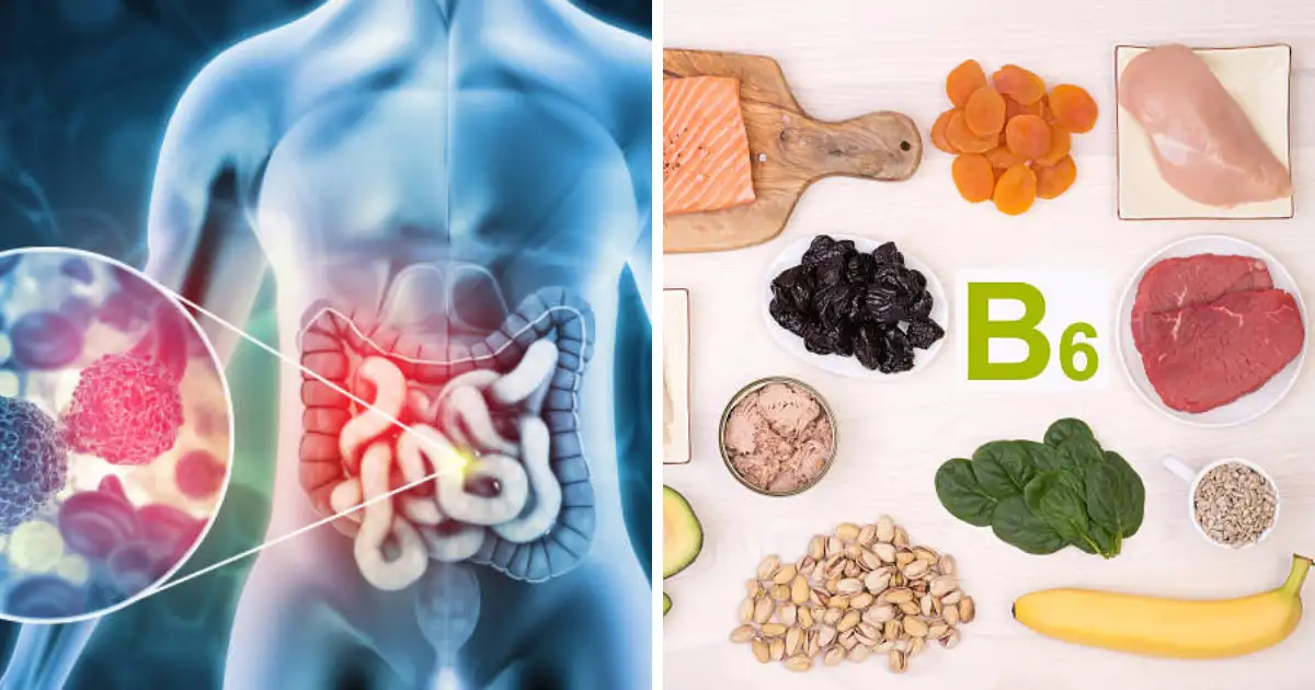 Vitamin B6 Deficiency Disease: विटामिन बी६ ची कमतरता भरून काढण्यासाठी ५ ...