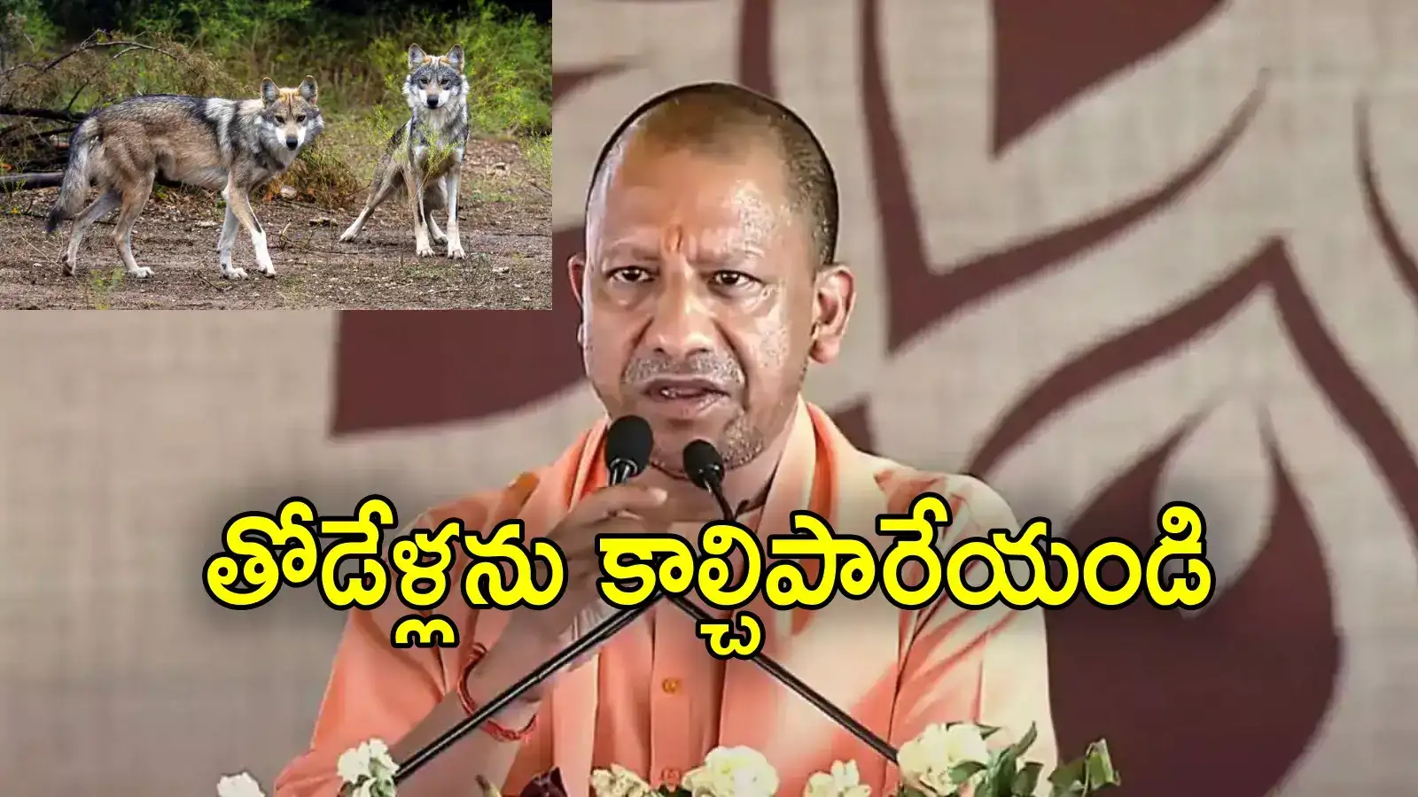 Up Govt Issues Shoot On Sight Order For Wolves,UP Govt: తోడేళ్లు ...