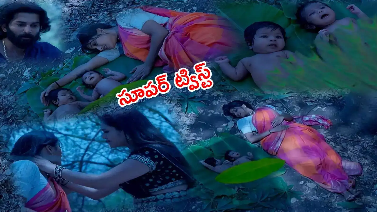 Naga Panchami Serial,Naga Panchami Today: కవలలకు జన్మనిచ్చిన పంచమి ...
