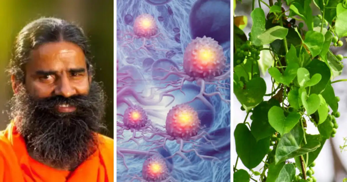 Baba Ramdev's Home Remedies to Prevent Cancer Risk; बाबा रामदेव यांचे ...