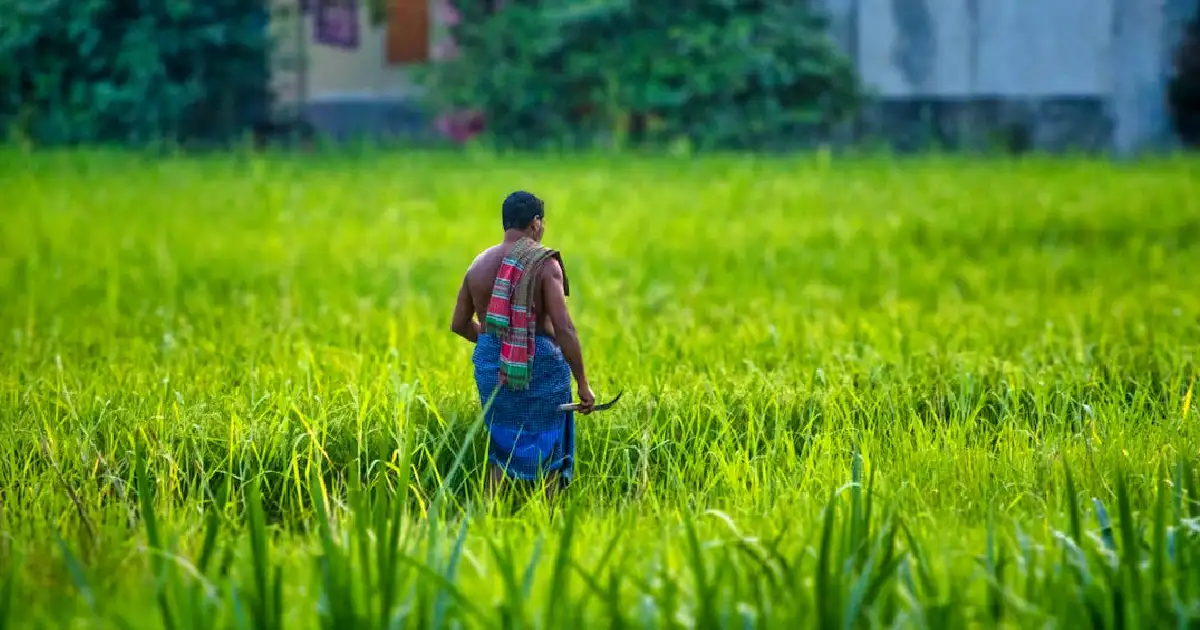 Pattayam Distribution In Kerala,അതിദരിദ്രർക്ക് പട്ടയ വിതരണം; മുഴുവൻ പേ ...