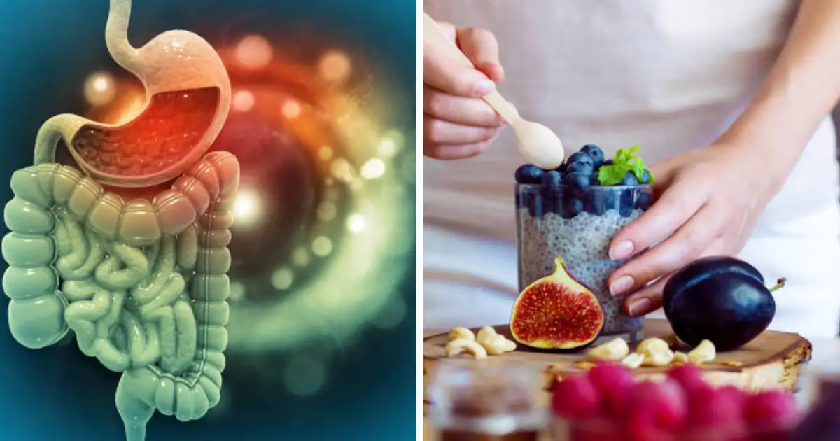 Dietician 10 Home Remedies For Avoid Constipation Piles Hemorrhoids And ...