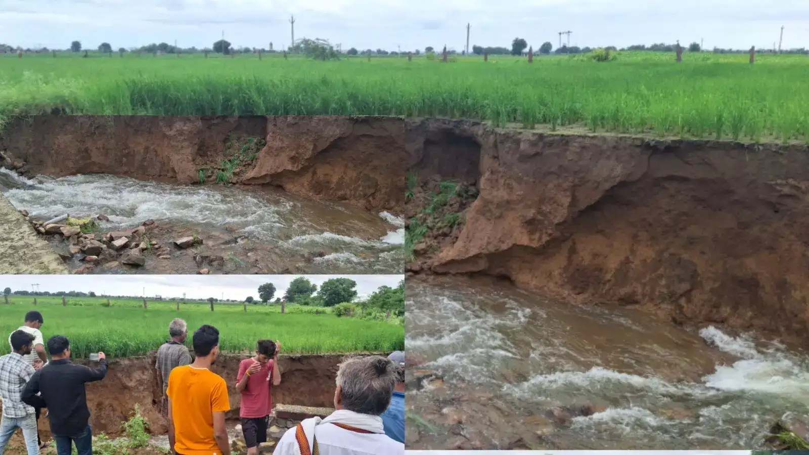 रातों-रात गायब हो गई किसान की जमीन, अब सरकार के सामने गिड़गिड़ा रहा ...