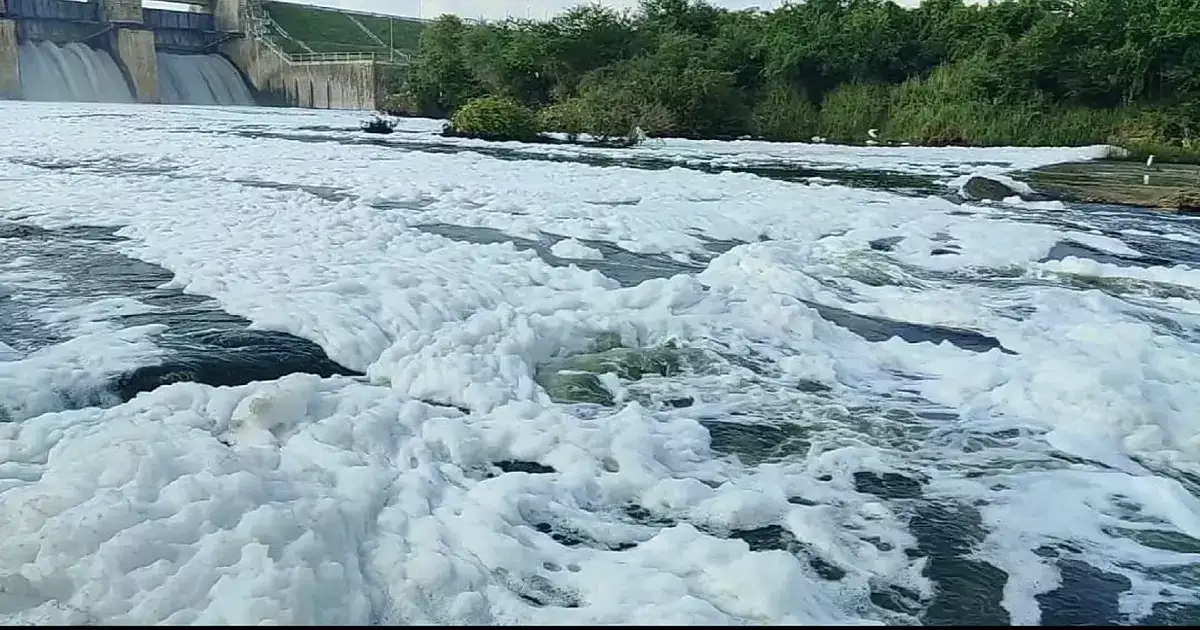 Kelavarapalli Dam,துர்நாற்றம் வீசும் கெலவரப்பள்ளி நீர்த்தேக்க அணை நீர் ...