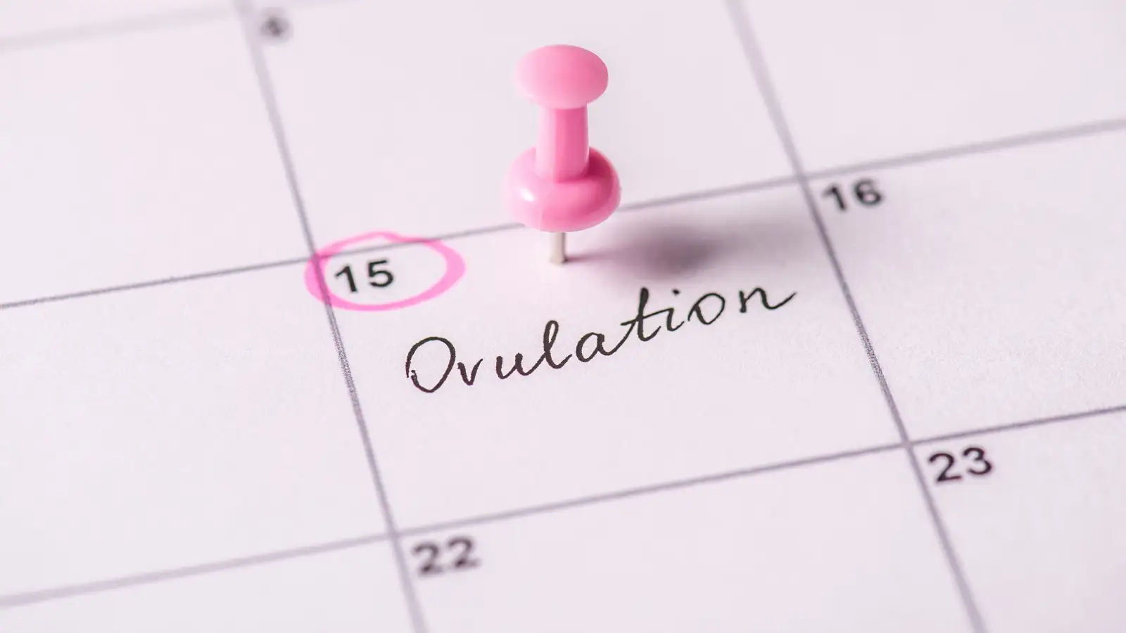 Tracking Ovulation Accurately for a Successful IUI