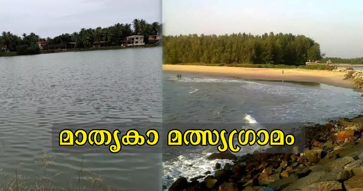 Matool Model Fishing Village,ജല ടൂറിസം, ഭക്ഷ്യശാല, കമ്യൂണിറ്റി ഹാ ...