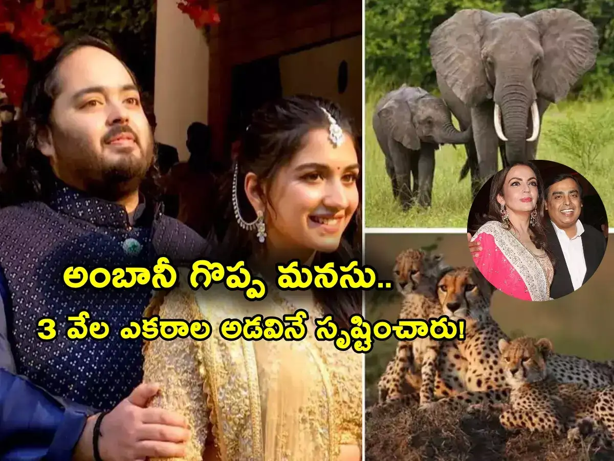 Reliance Foundation Launches Vantara Anant Ambani Animal Rescue Center ...