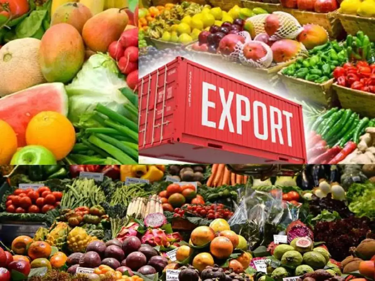 India Agri Exports,வேளாண் பொருட்கள் ஏற்றுமதி.. 13 சதவீத வளர்ச்சியில் ...