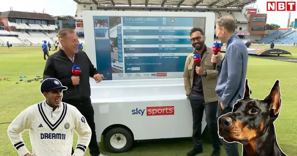 Dinesh Karthik Doberman Dog Statement,भारत की बैटिंग डाबरमैन कुत्ते ...