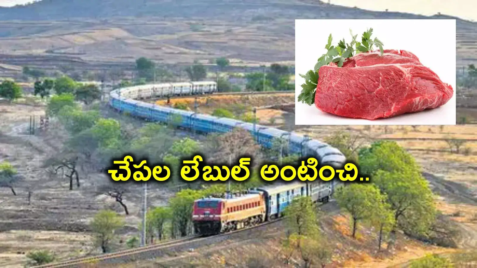 Beef Transported In Janmabhoomi Express,చేపల ముసుగులో గొడ్డు మాంసం ...