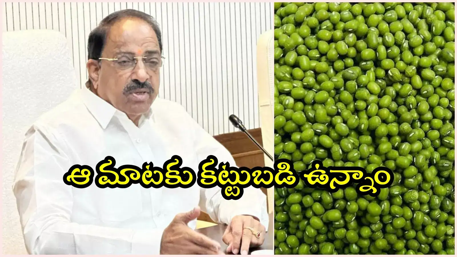 Telangana Government to Buy Moong Dal Pesalu From Markfed - తెలంగాణ ...