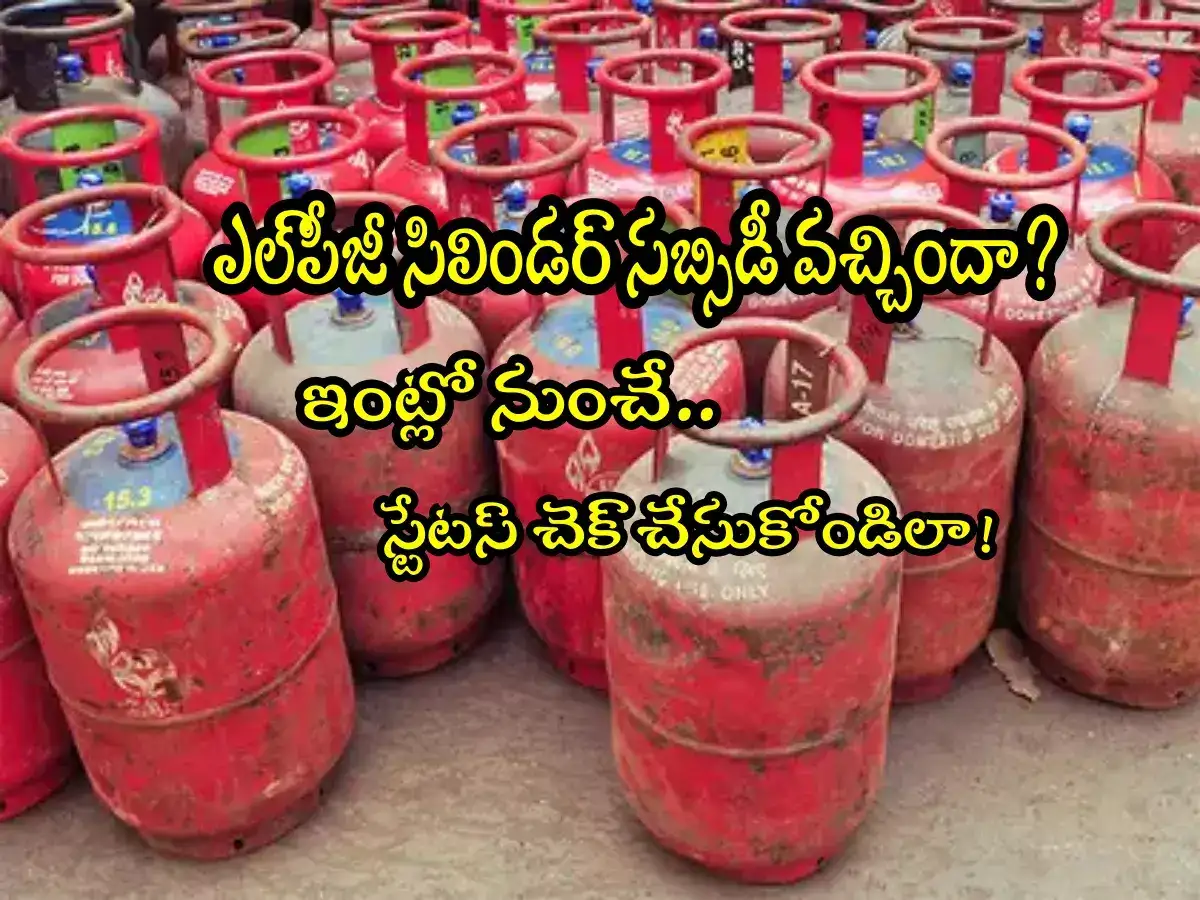 Check LPG Gas Cylinder Subsidy Status Online with MyLGP - LPG Subsidy ...