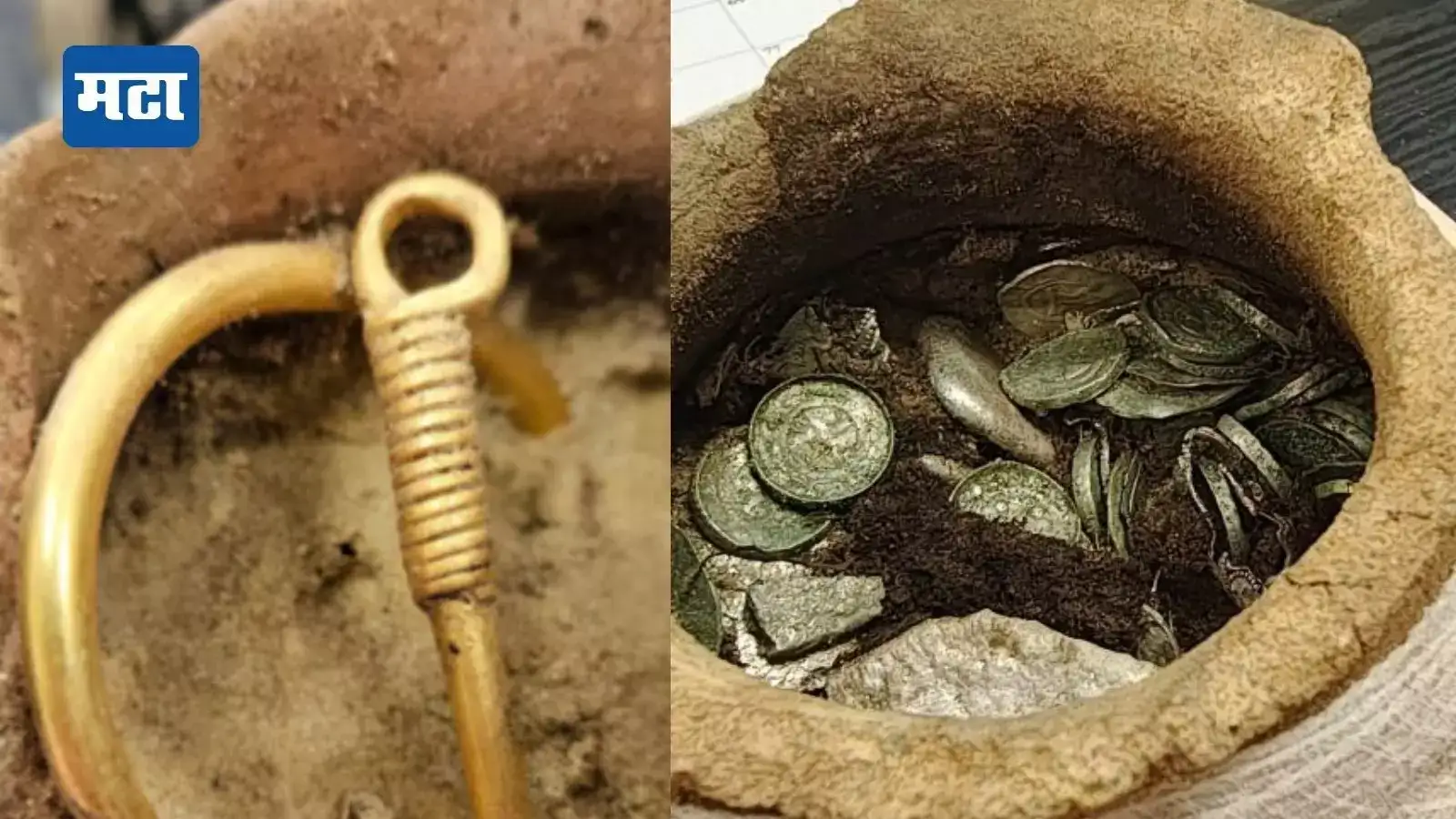 जंगलात सापडला प्राचीन खजिना, 222 ग्रॅम सोन्याचा हार, 631 नाणी, 1500 ...