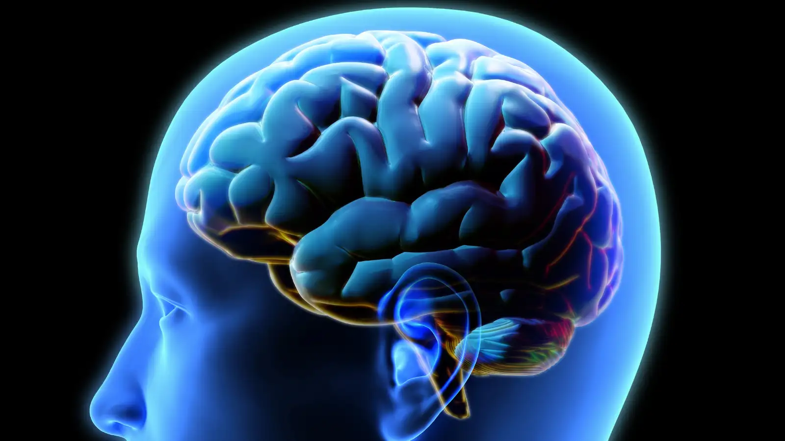 Balancing Your HPO Axis Naturally | Lifestyle Habits to Support Fertility