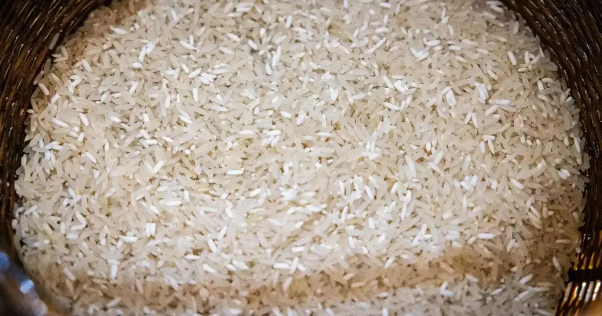 K Rice Vs Bharat Rice,ജയ അരിയ്ക്ക് 29, മട്ടയ്ക്കും കുറുവയ്ക്കും 30 ...