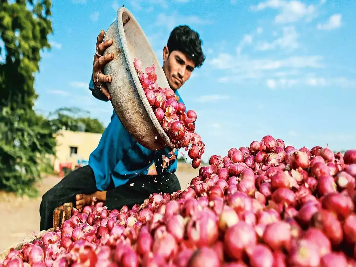 Onion Export Ban,வெங்காய ஏற்றுமதிக்கு தடை.. மத்திய அரசின் திடீர் உத்தரவு! - indian govt bans ...