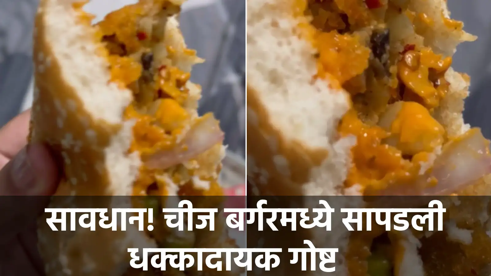 Burger Kings double patty burger Found Dead Insect in Mumbai Video goes ...