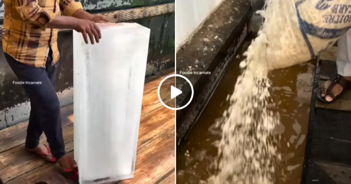 Barf kaise Banti hai, Bigger Ice Making Video : बर्फ की सिल्लियां कैसे ...