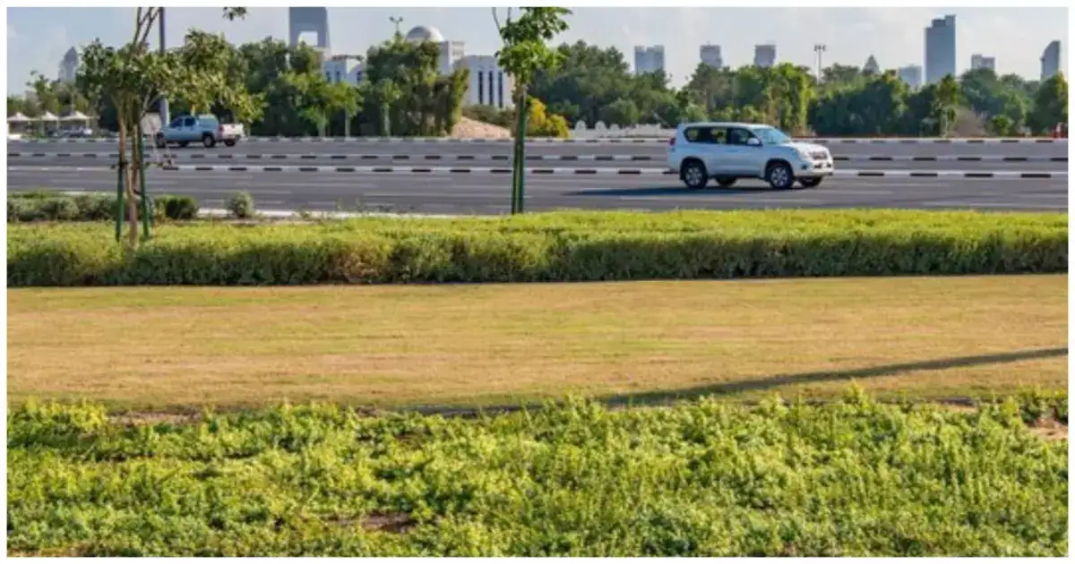 Public Works Authority Of The City Of Doha,പു തി യ പ ദ്ധ തി ക ളു മാ യി ...