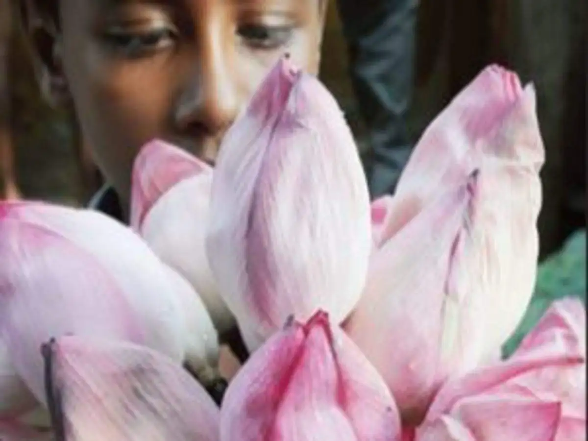 Beauty Benefits For Lotus,தாமரை போன்ற அழகுக்கு தாமரை பூவை ...