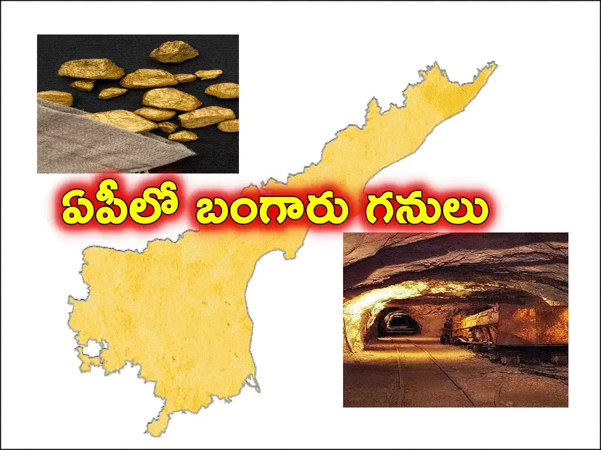 Aspari Gold Mines Found: ఏపీలోని మరో ప్రాంతంలో బంగారు గనులు.. ఇప్పటికే ...