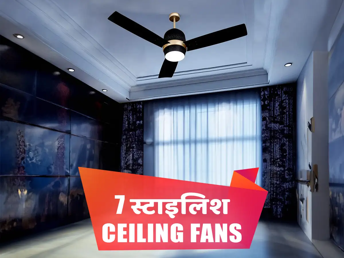 Ceiling Ka Matlab Kya Hai | Shelly Lighting