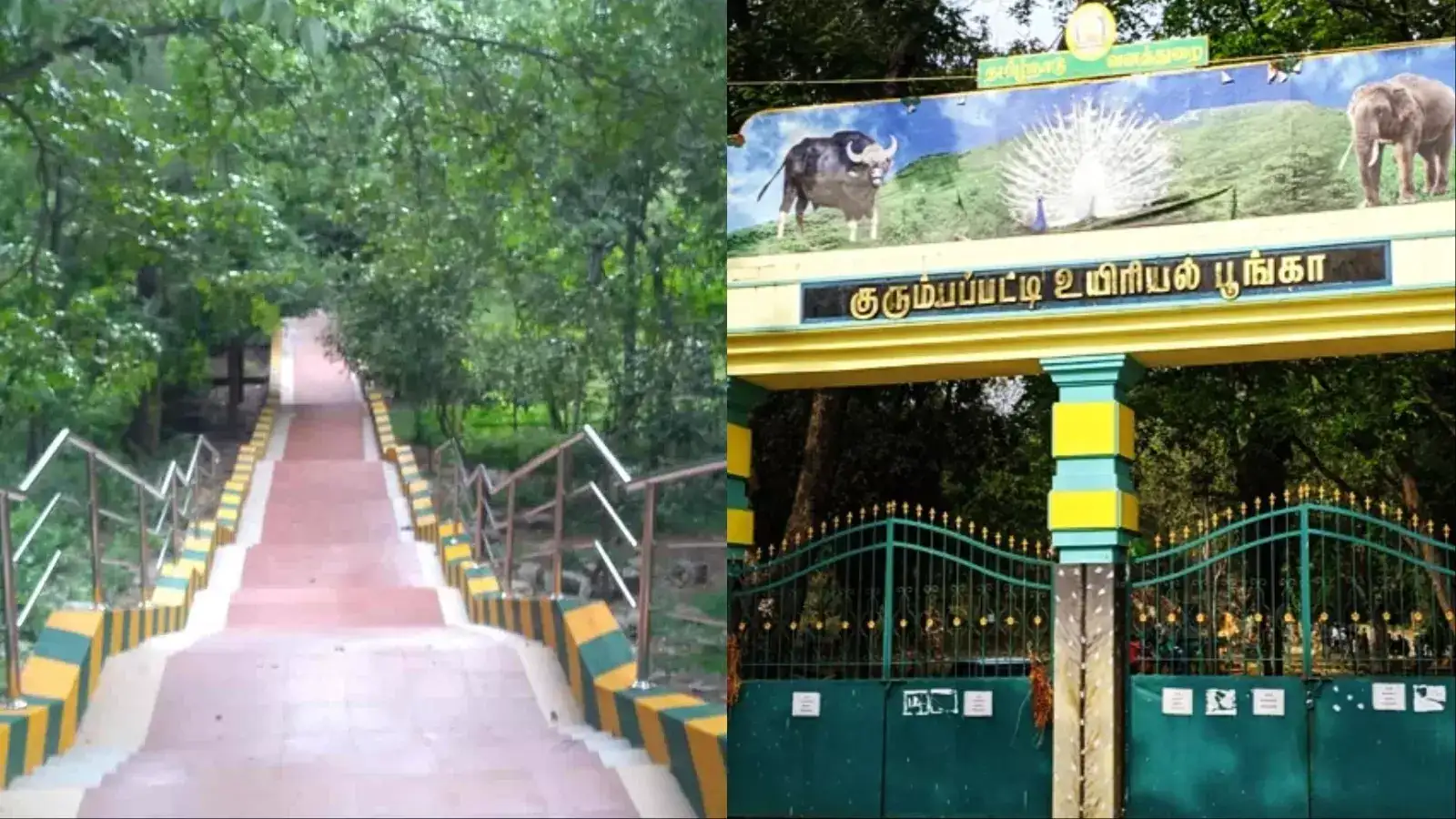 Kurumbapatti Zoo Medium Category,சேலம் குரும்பப்பட்டி விலங்கியல் பூங்கா ...