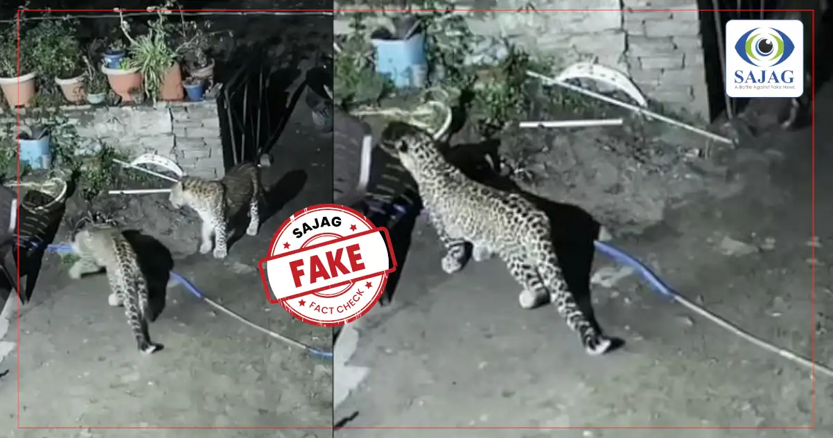 പുലിയിറങ്ങി,Fact Check: മലപ്പുറം മാറഞ്ചേരിയിലും പുറത്തൂരിലും ...